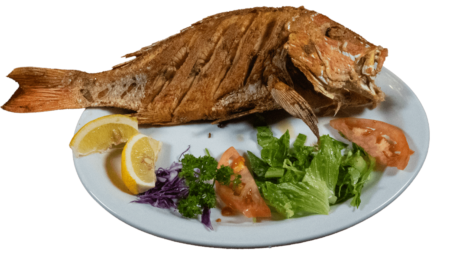 Our Cuban Food Menu | Don Ramon Cuban Cuisine